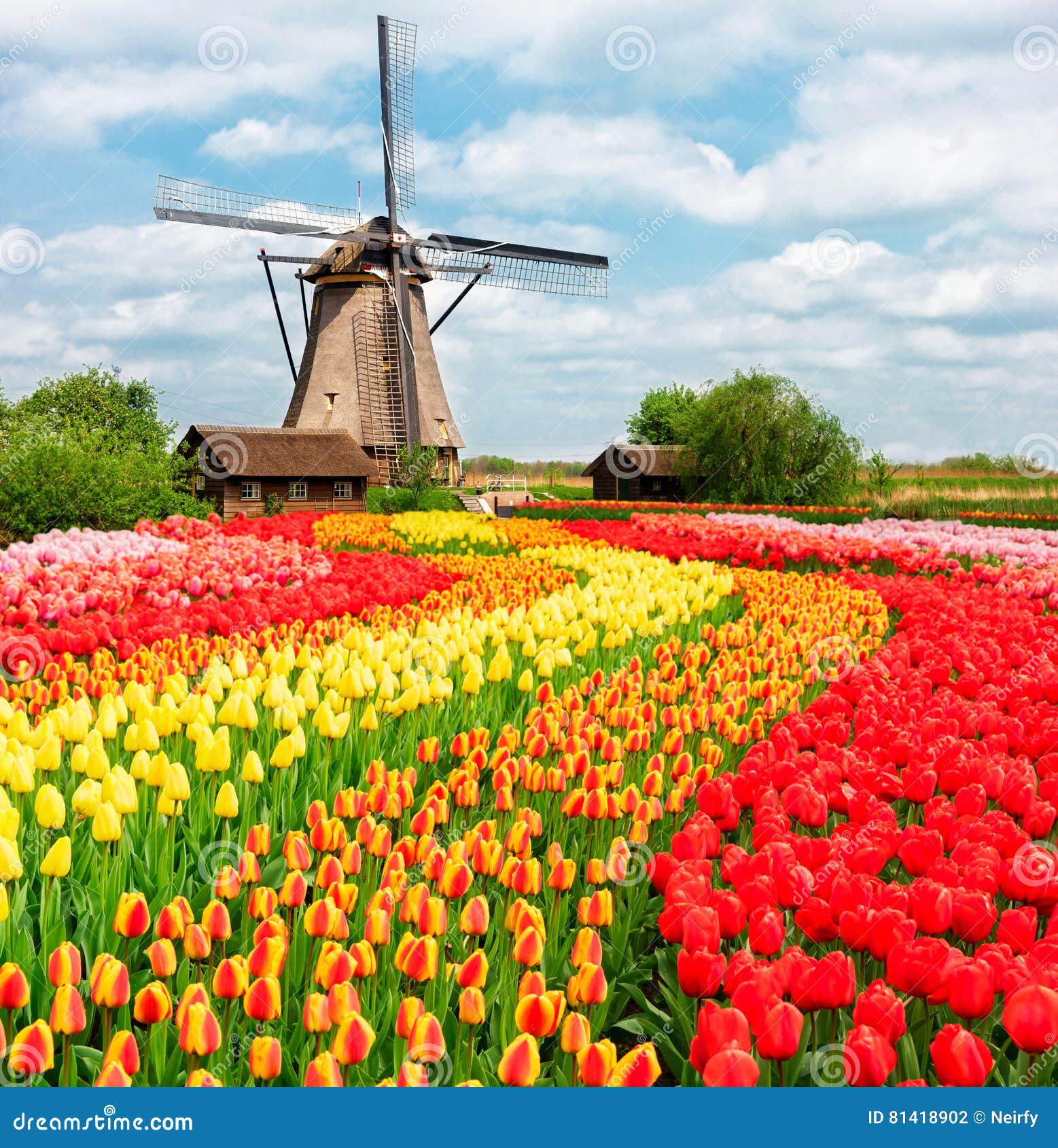 Dutch wind mills stock photo. Image of nature, landscape - 81418902