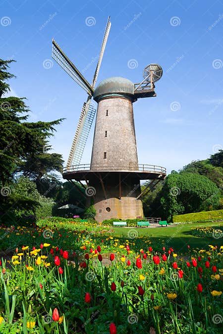 Dutch windmill stock image. Image of historic, golden - 13476569