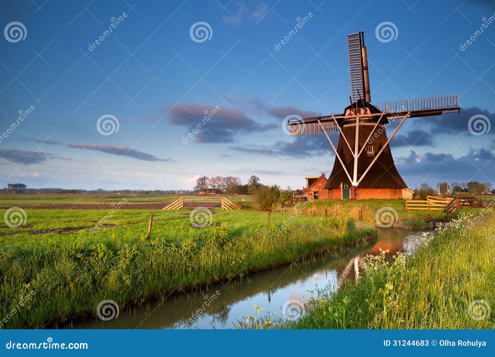 Dutch Windmill in Morning Sunrise Sunlight Stock Image - Image of field ...