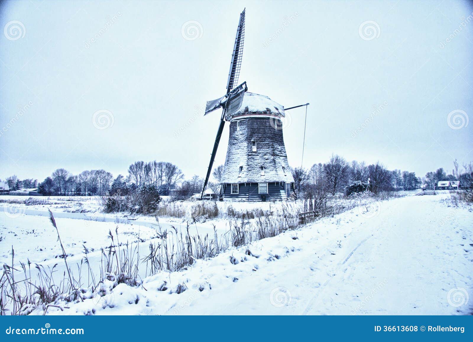 Dutch windmill in the snow stock photo. Image of trees - 36613608