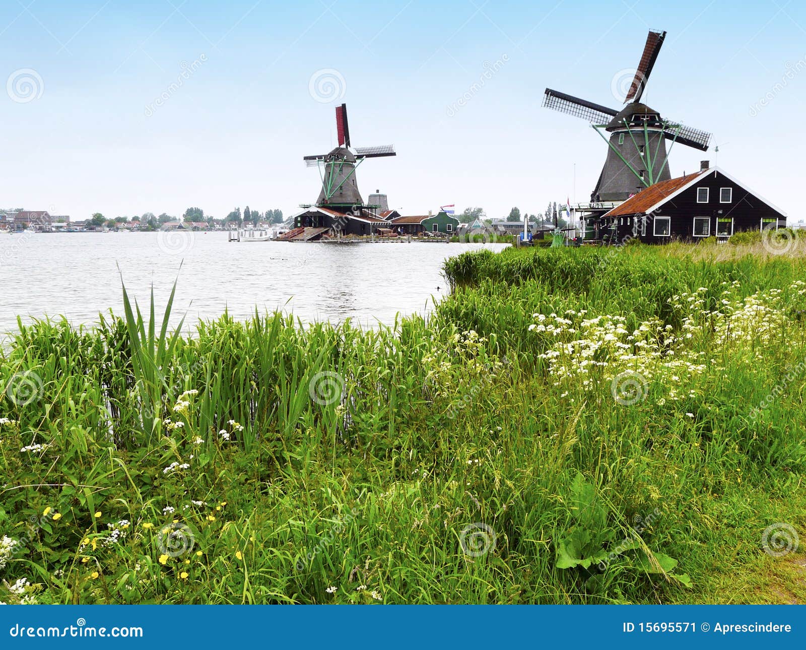 Dutch windmills stock image. Image of historic, summer - 15695571