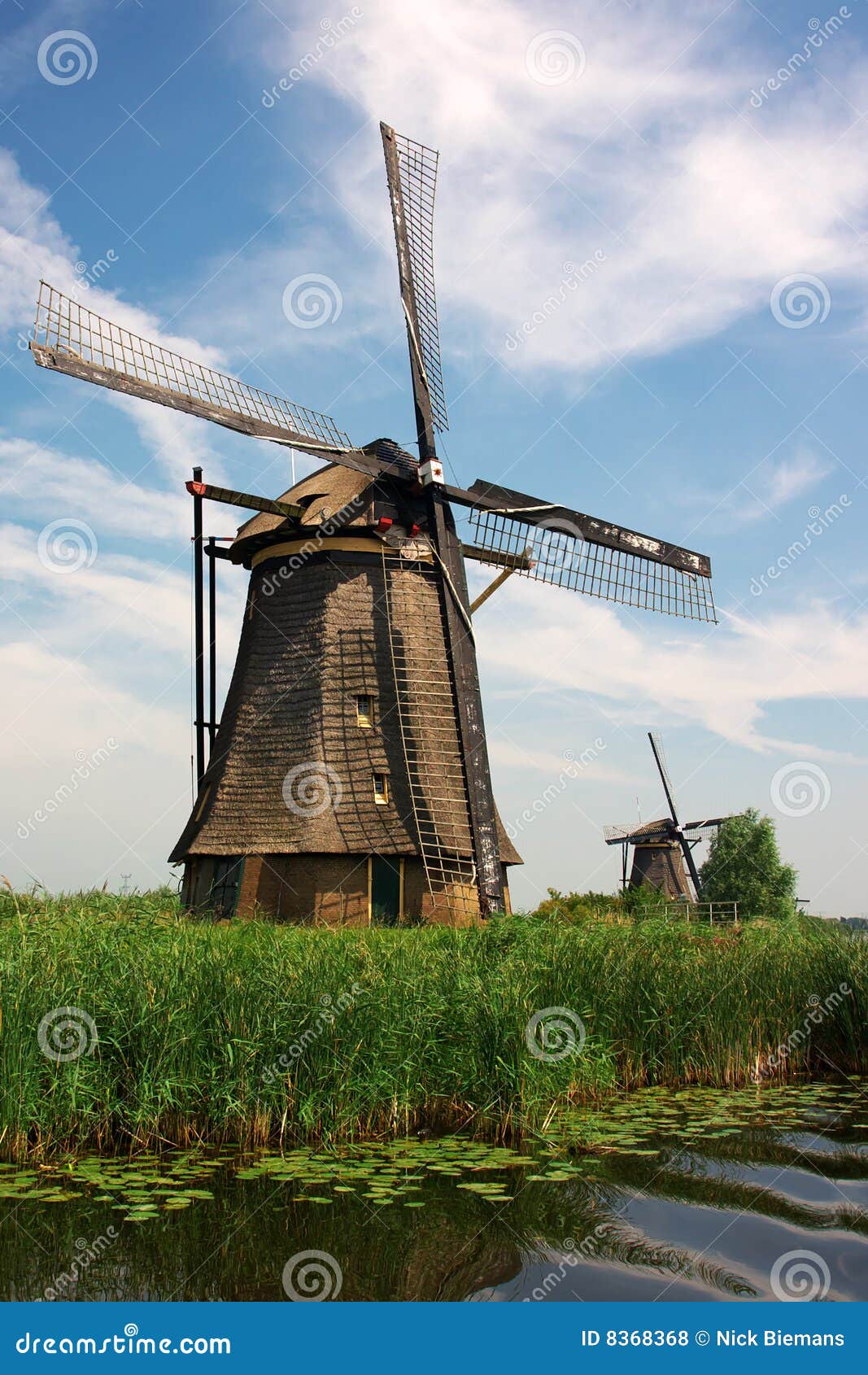 Dutch Windmills in Countryside Stock Photo - Image of fields ...