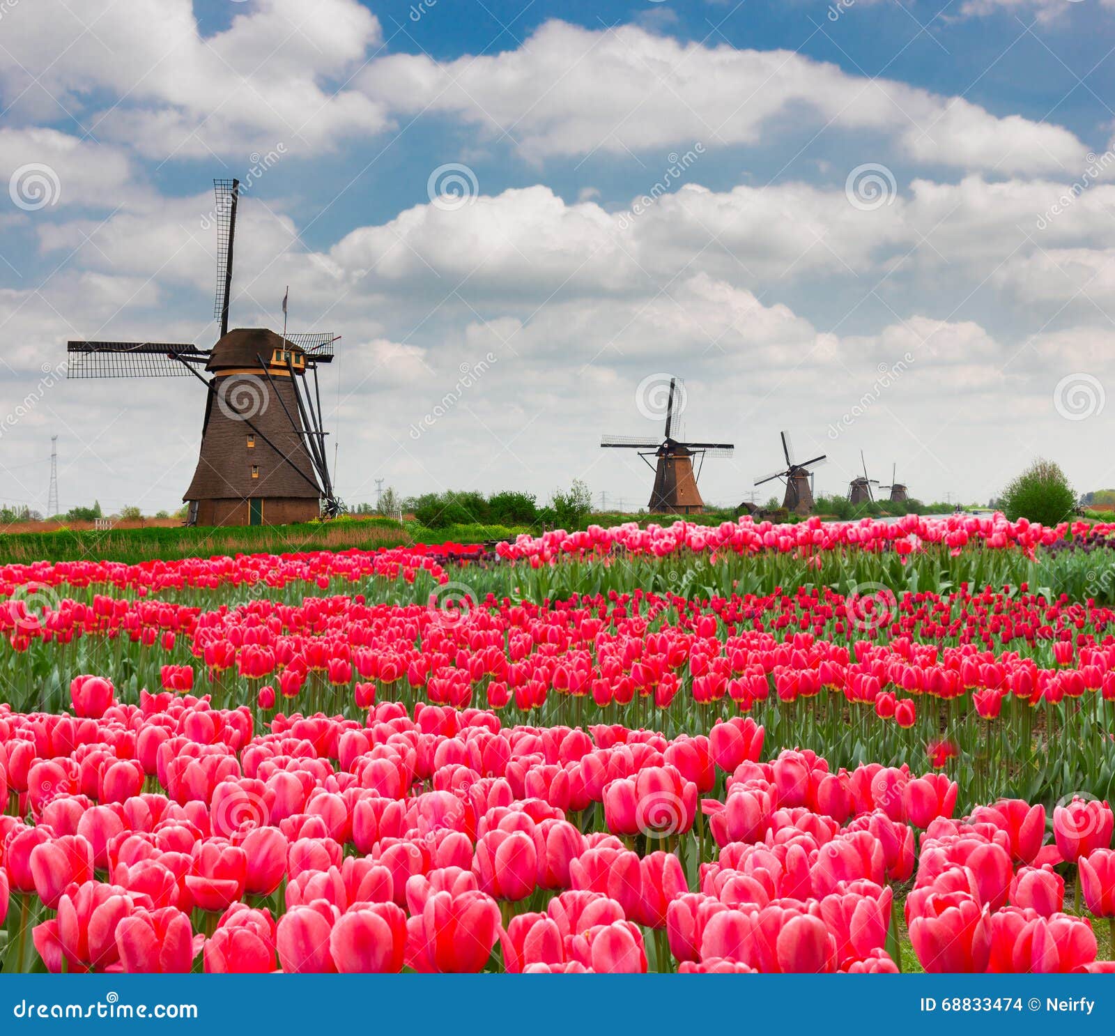 Dutch Windmills in Spring Day Stock Photo - Image of netherlands ...