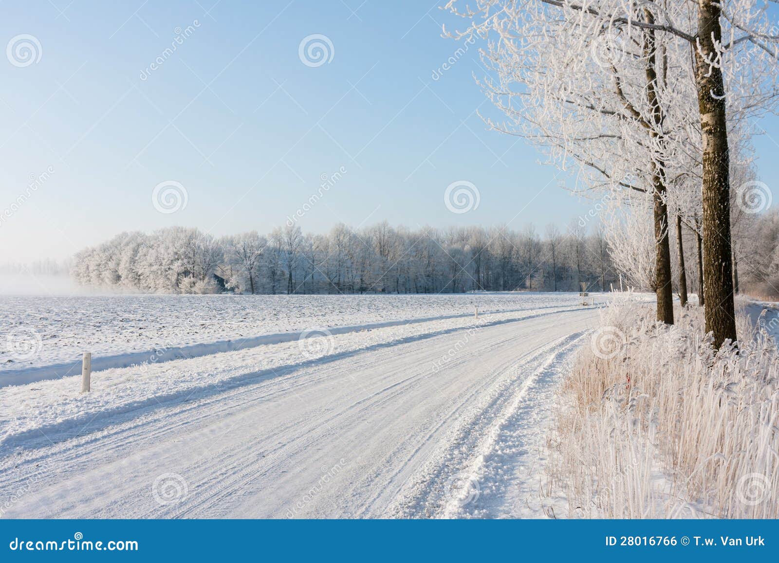 Dutch Winter Farmland Covered with Snow Stock Photo - Image of cropland ...