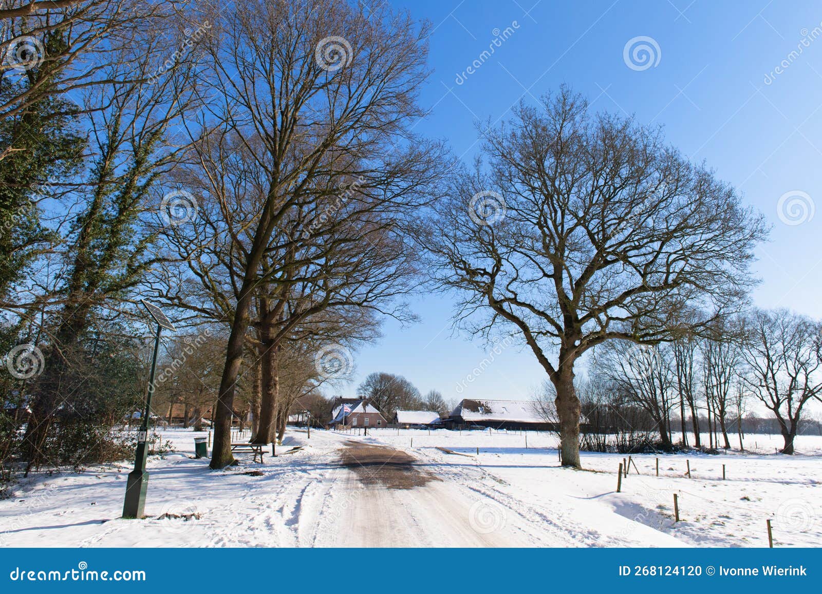 Dutch winter landscape stock photo. Image of lane, farmhouse - 268124120