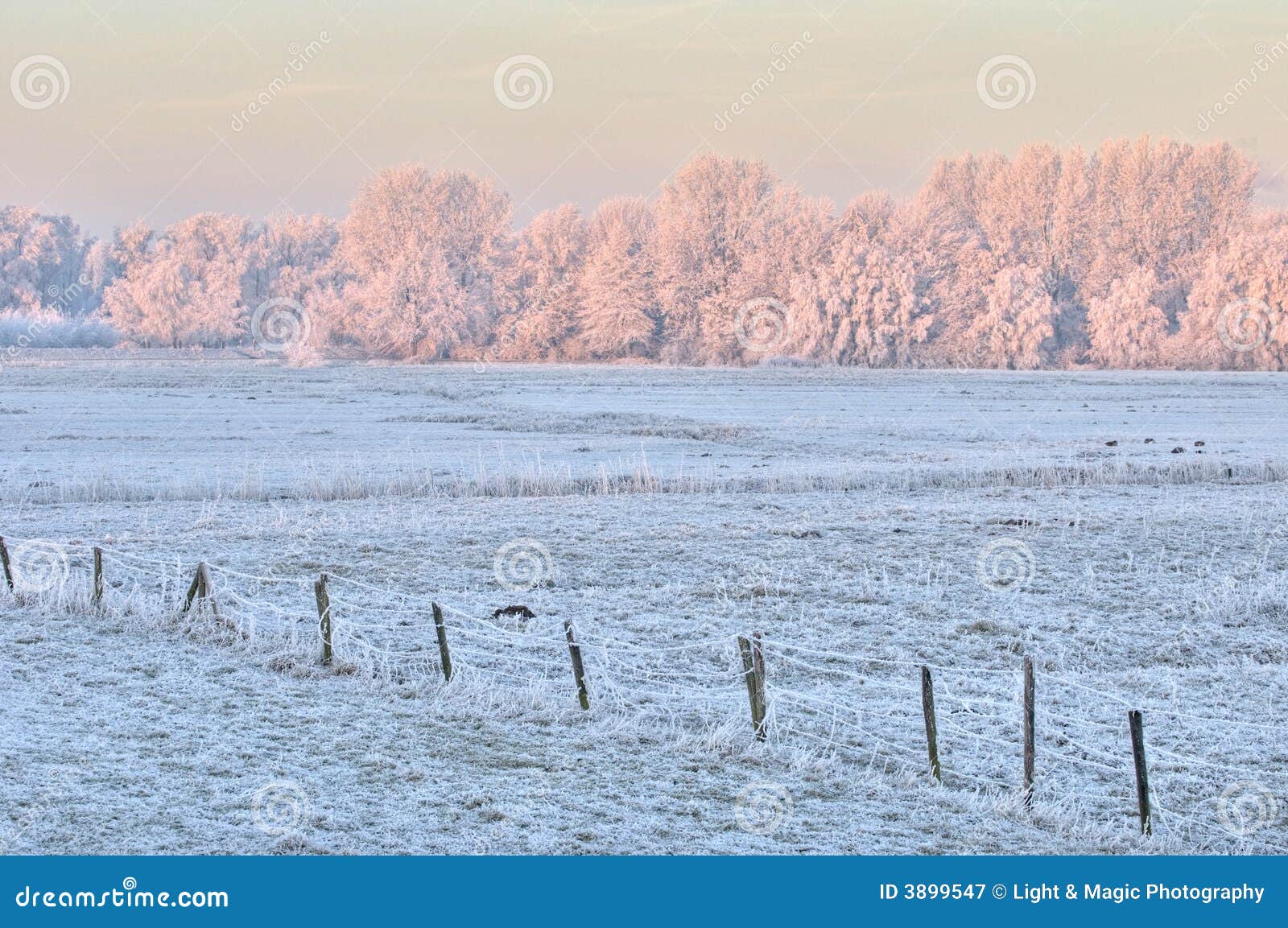 Dutch winter scene stock image. Image of pastel, snow - 3899547