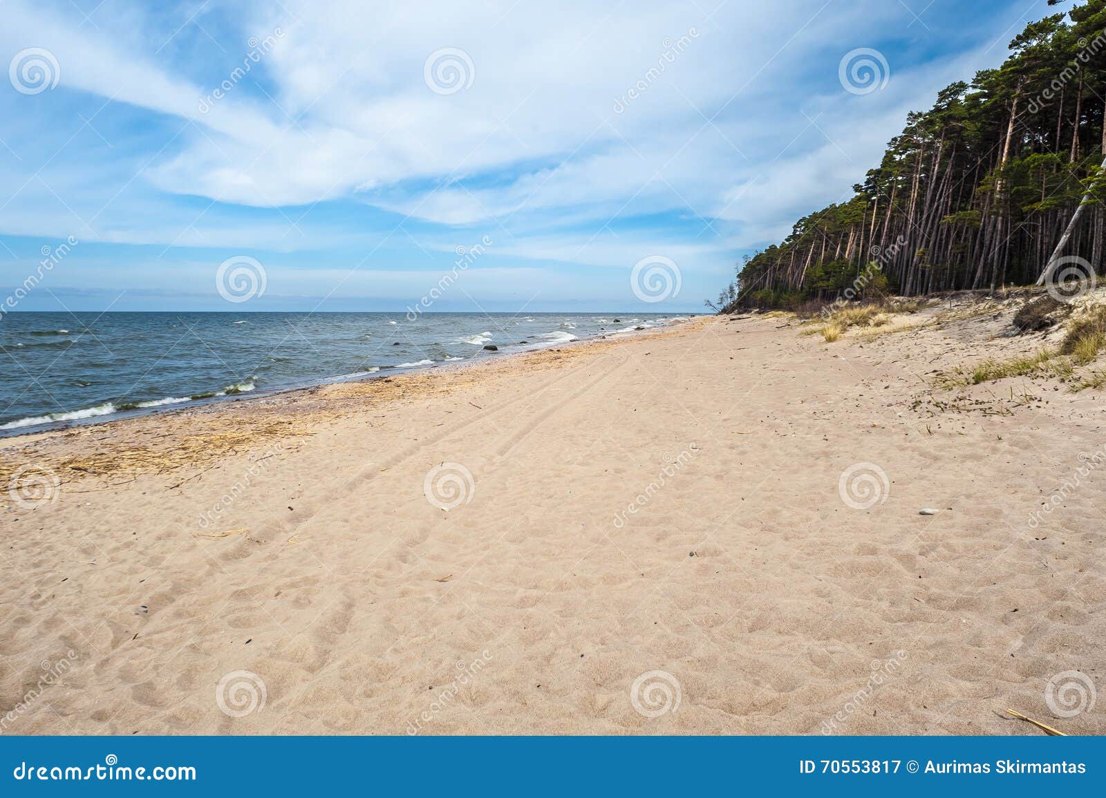Dutchman Cap Lithuania Stock Photos - Free & Royalty-Free Stock Photos ...
