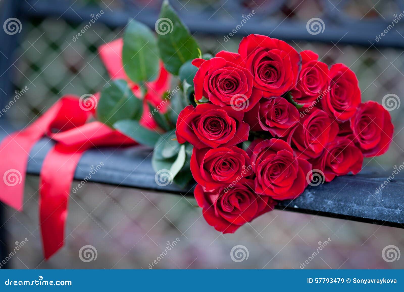 Dutzend Rote Rosen Auf Einer Bank Stockbild - Bild von liebe, einsam ...
