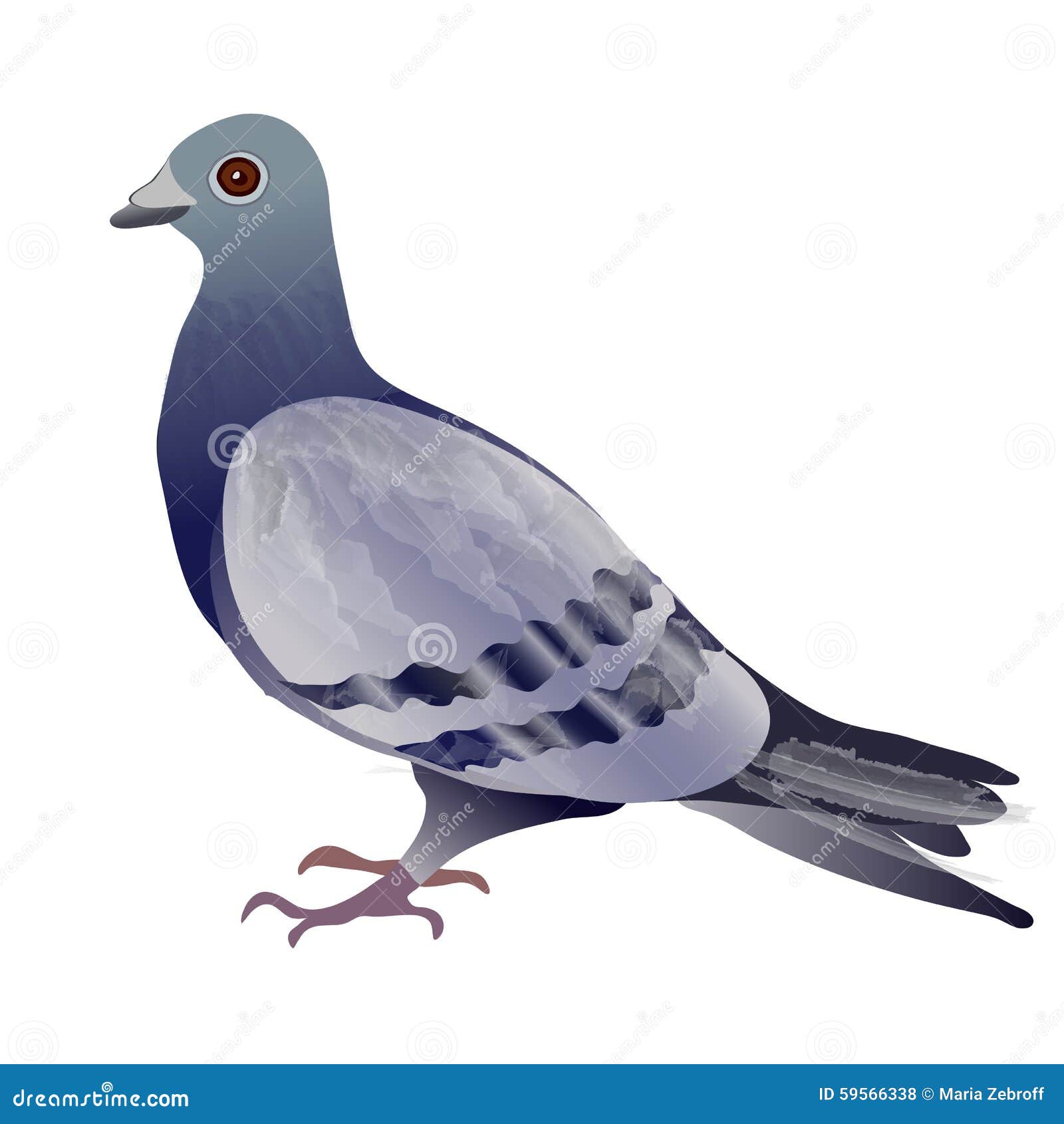 Duva eller duva vektor illustrationer. Illustration av natur - 59566338