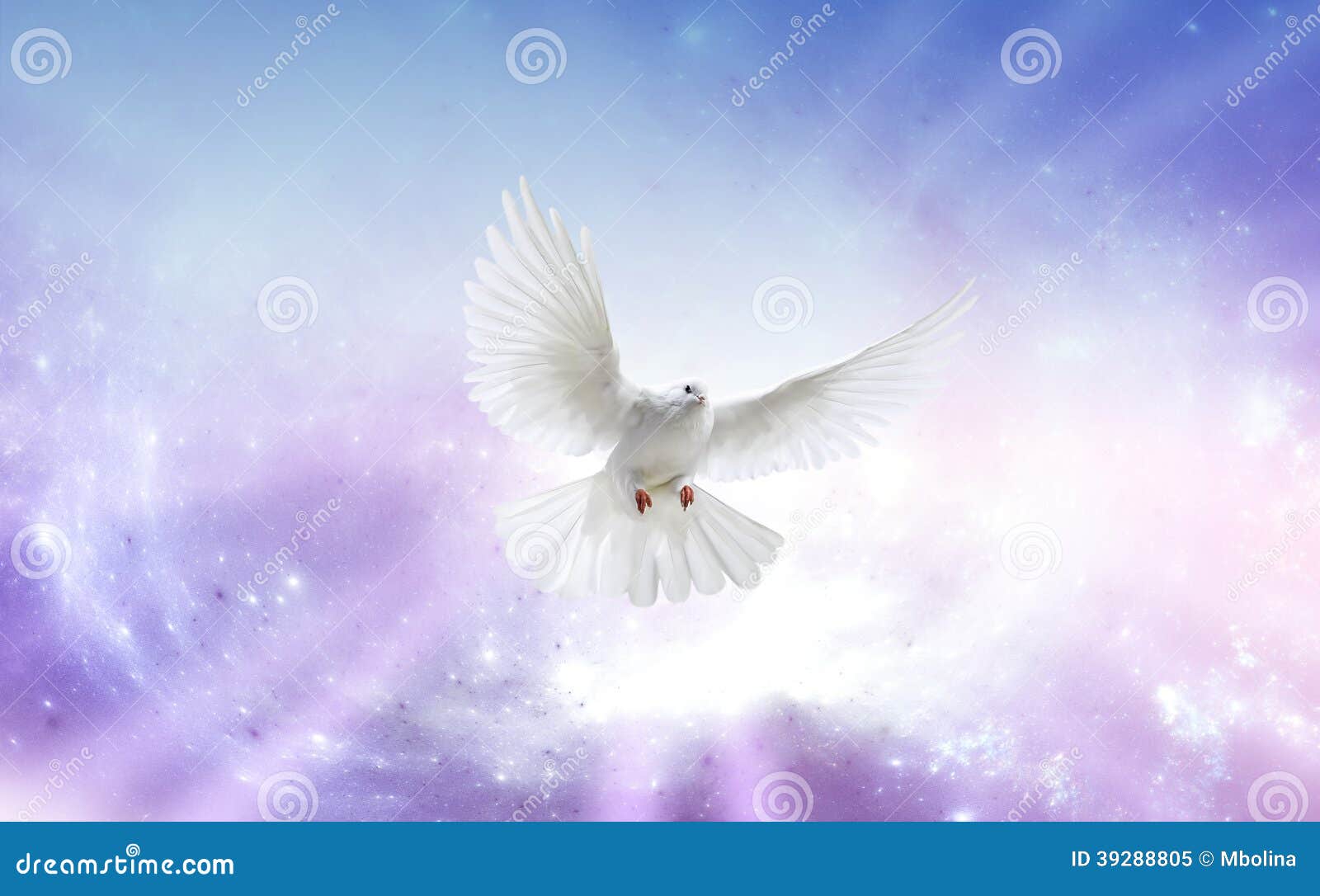 Duva för helig ande fotografering för bildbyråer. Bild av himmel - 39288805
