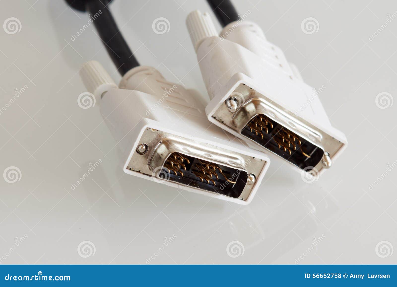 DVI Cables - Series of Computer Parts Stock Photo - Image of cable ...