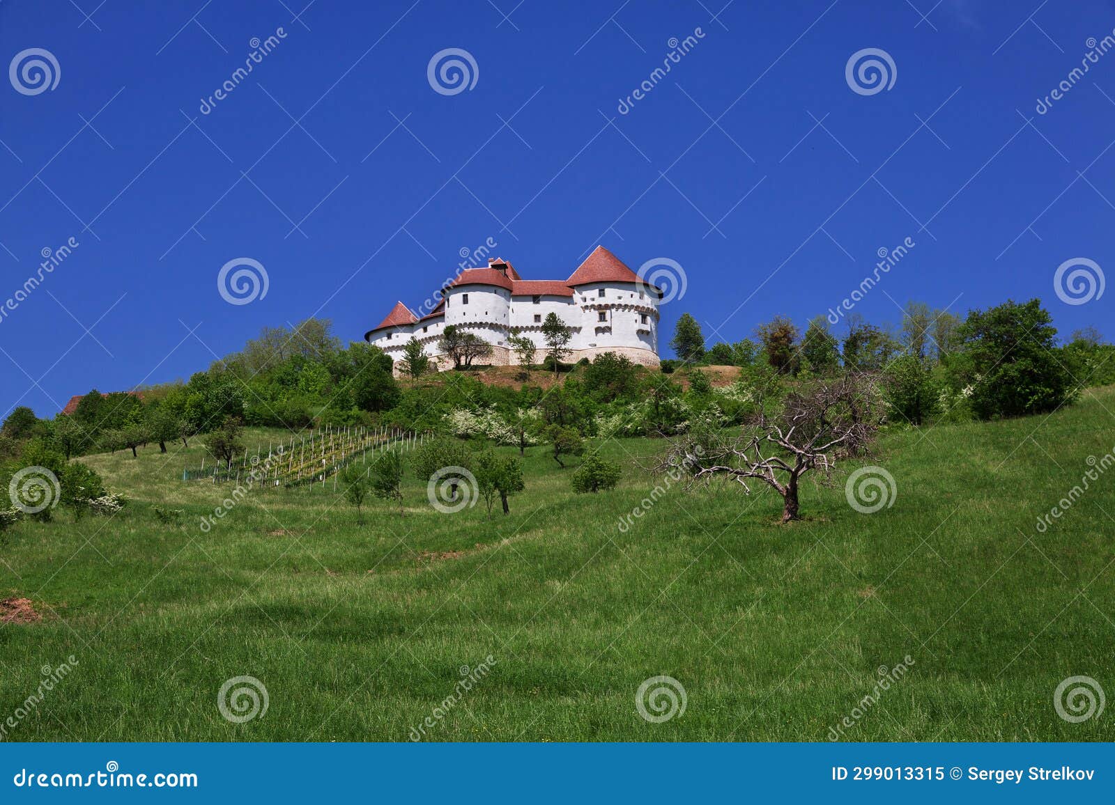 Dvor Veliki Tabor Castle in Croatia Stock Image - Image of historic ...