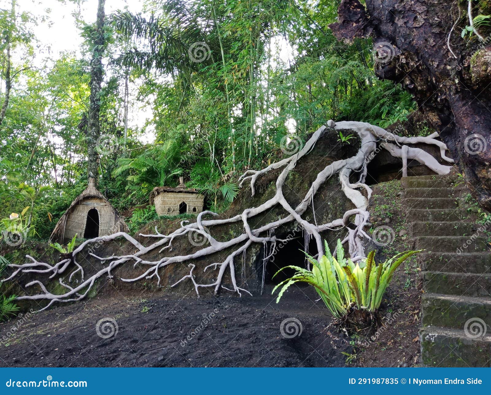 Dwarf house in the forest stock image. Image of backyard - 291987835