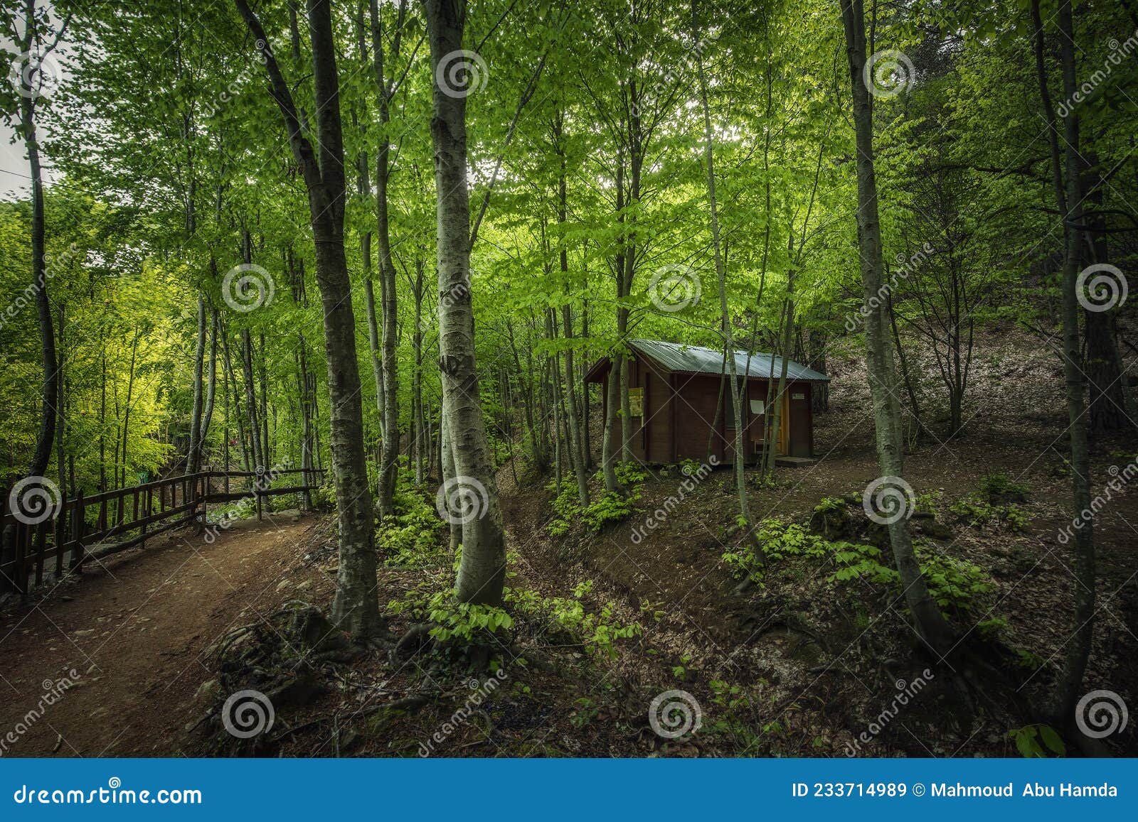 The Dwarf Hut among the Trees and Hidden Forests Stock Image - Image of ...