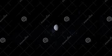 Dwarf Planet 90482 Orcus with Vanth Moon Orbiting Around Stock ...