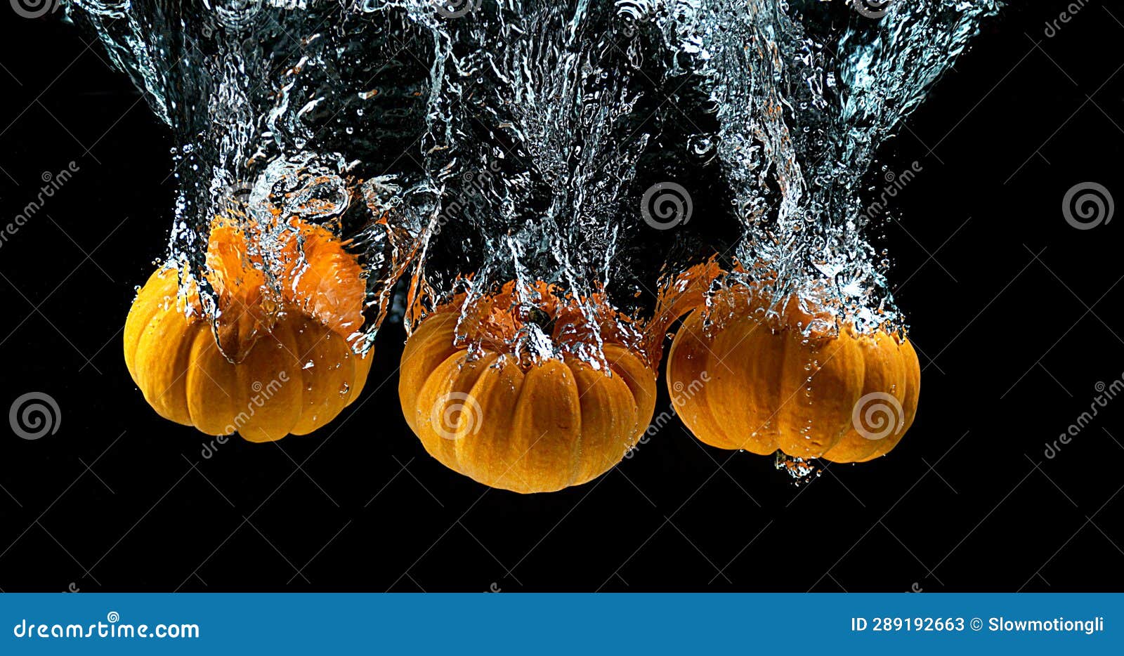 Dwarf Pumpkin, Cucurbita Pepo, Fruit Falling into Water Against Black ...