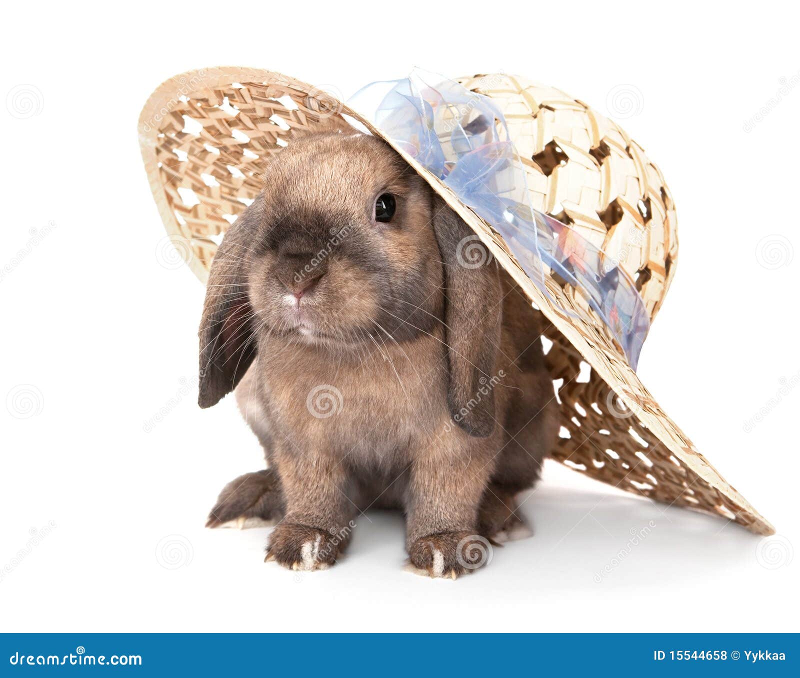 Dwarf Rabbit in a Straw Hat. Stock Photo - Image of rabbit, rodent ...