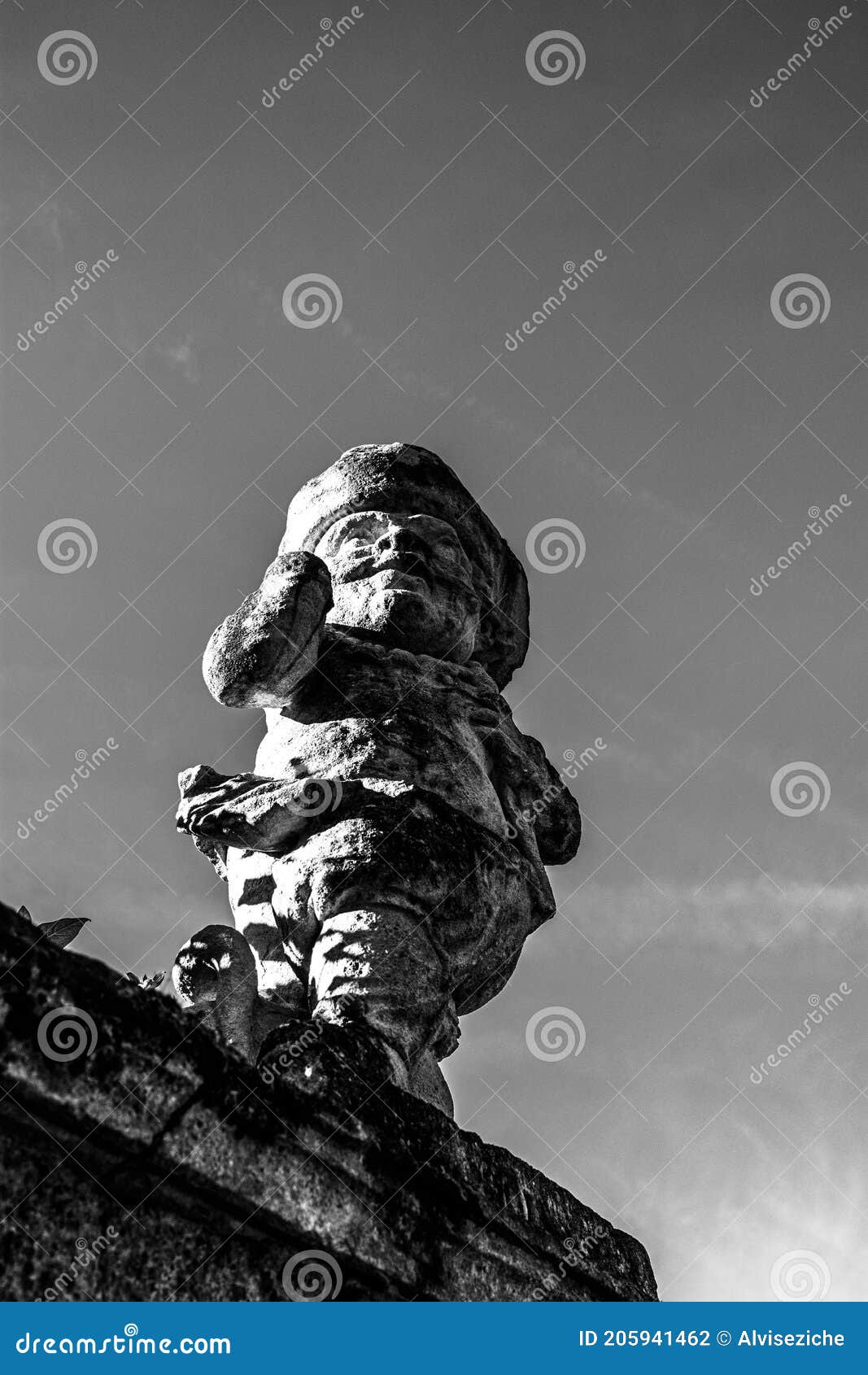 Looking into the future stock photo. Image of animal - 205941462