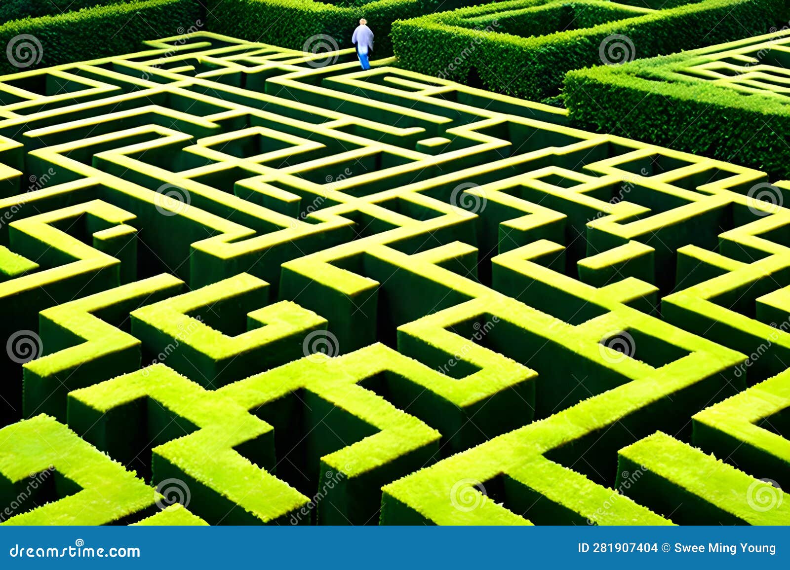 Dwarfed By A Towering 3D Hedge Maze Environment Which Inspired By The ...