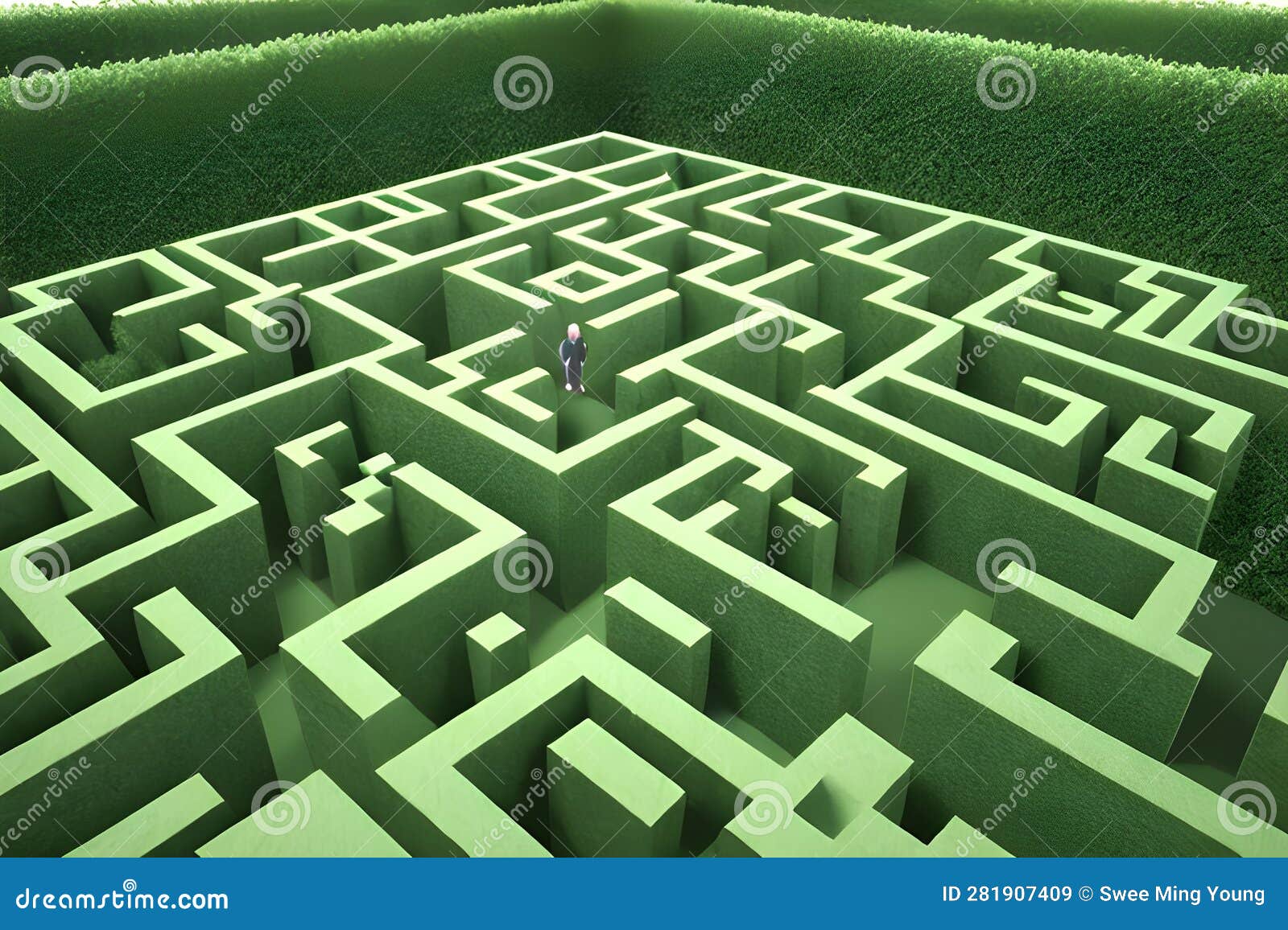 Dwarfed By A Towering 3D Hedge Maze Environment Which Inspired By The ...