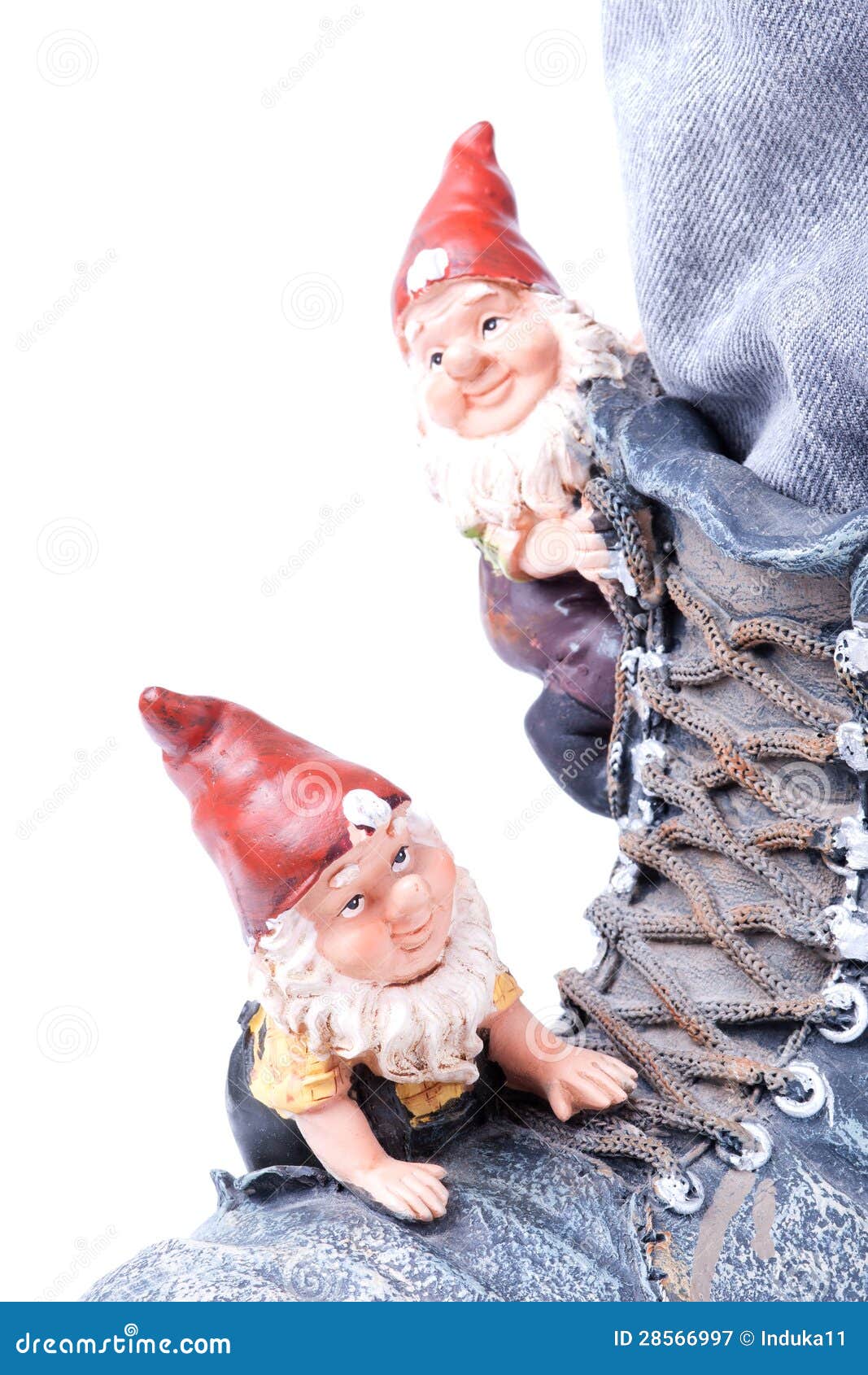 Dwarfs stock image. Image of backround, gift, white, dwarfs - 28566997