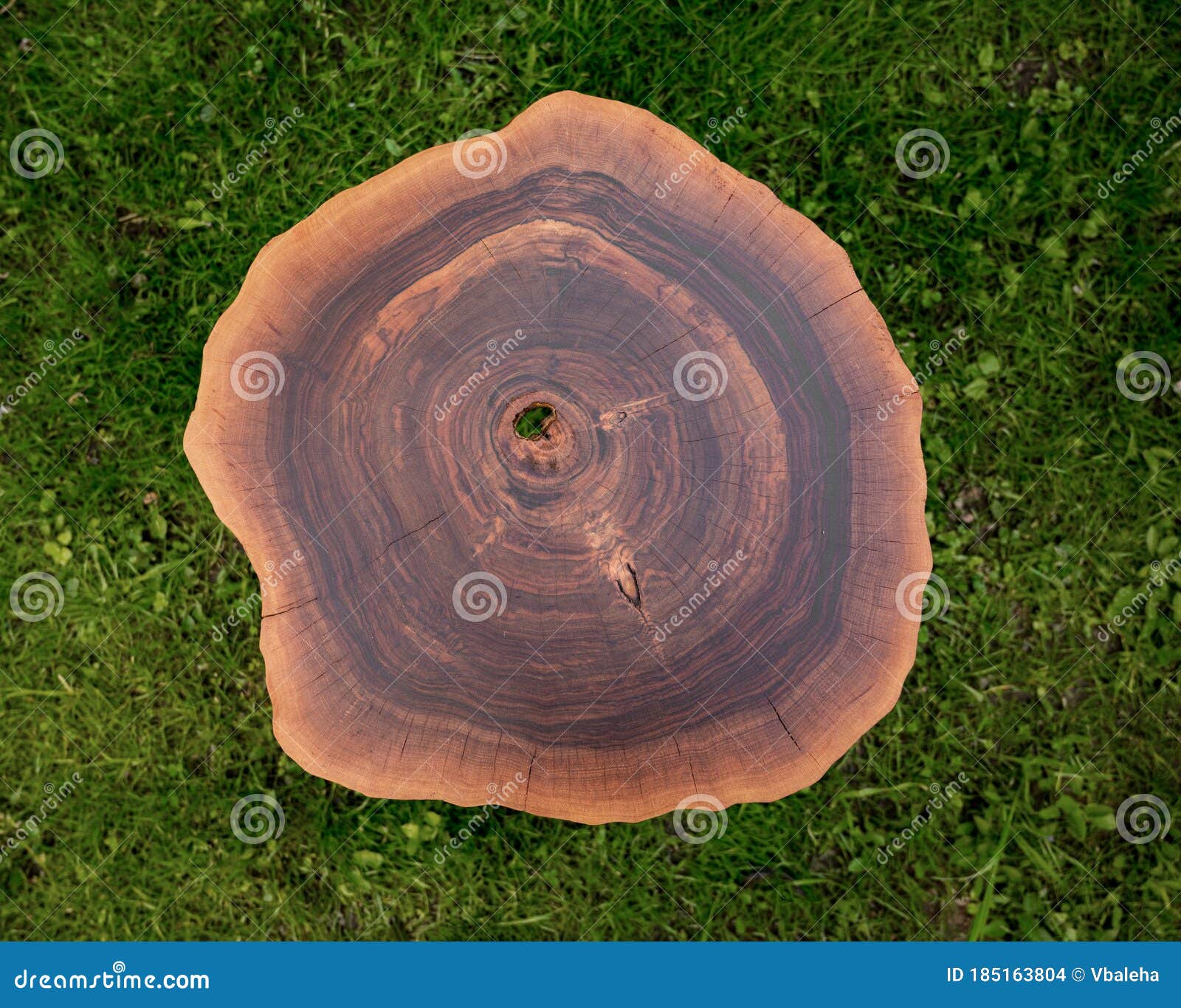 Dwarsdoorsnede Van Boomstam Stock Foto - Image of naughty, boom: 185163804