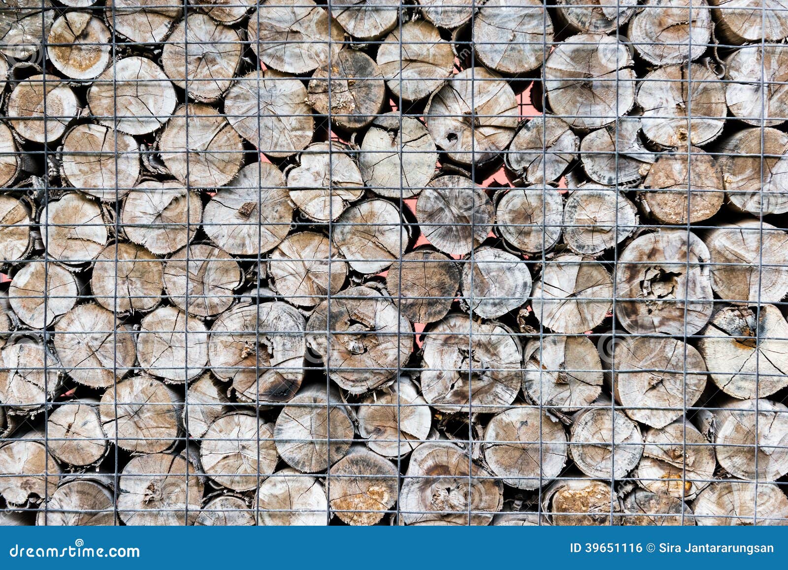 Dwarsdoorsnede Van Het Hout En Draadnet Stock Foto - Image of stomp ...