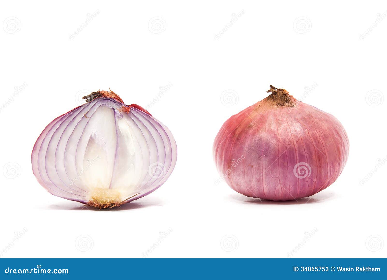 Dwarsdoorsnede Van Rode Ui. Stock Afbeelding - Image of kruis, sectie ...