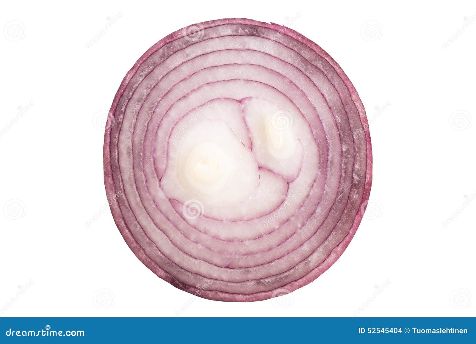 Dwarsdoorsnede van rode ui stock foto. Image of spleet - 52545404