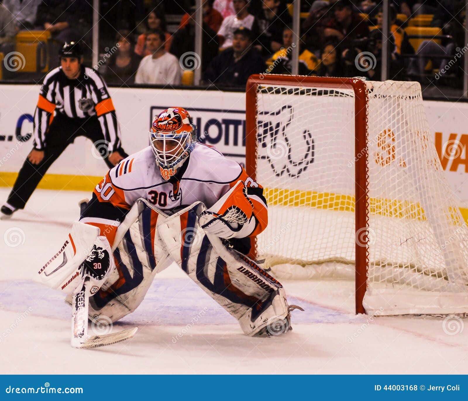 Dwayne Roloson, New York Islanders Editorial Stock Photo - Image of ...