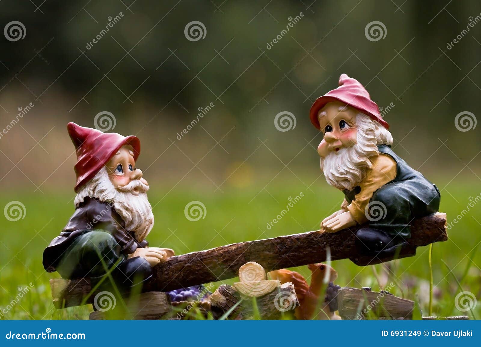 Dwergen stock afbeelding. Image of macro, wipplank, dwergen - 6931249