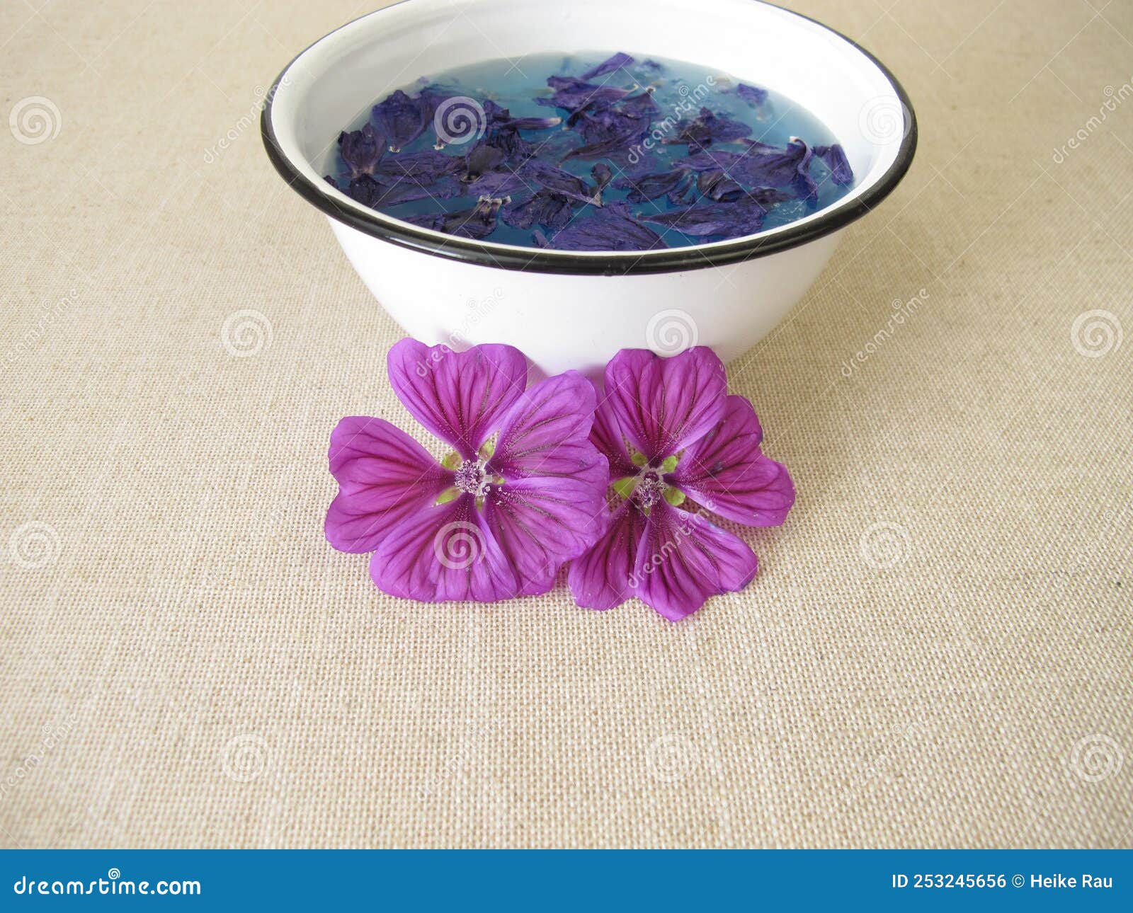 Dye Bath with Mallow Flowers, Blue Plant Color Stock Photo - Image of ...