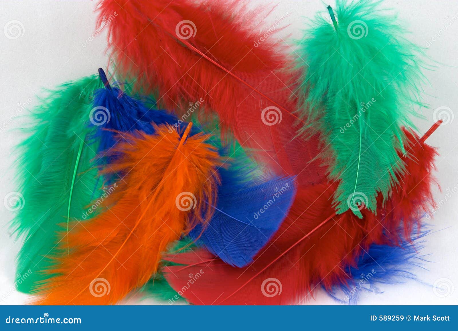 Dyed feathers stock image. Image of dyed, feather, green - 589259