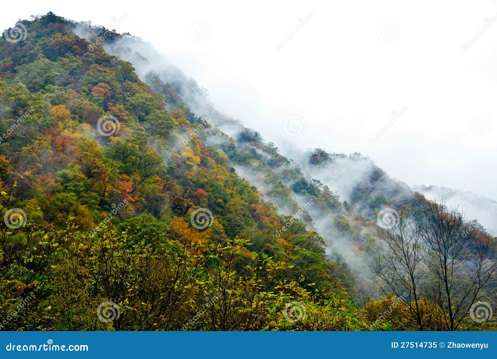 Dyed Mountains and Forests,Cloud and Mist Stock Image - Image of grass ...