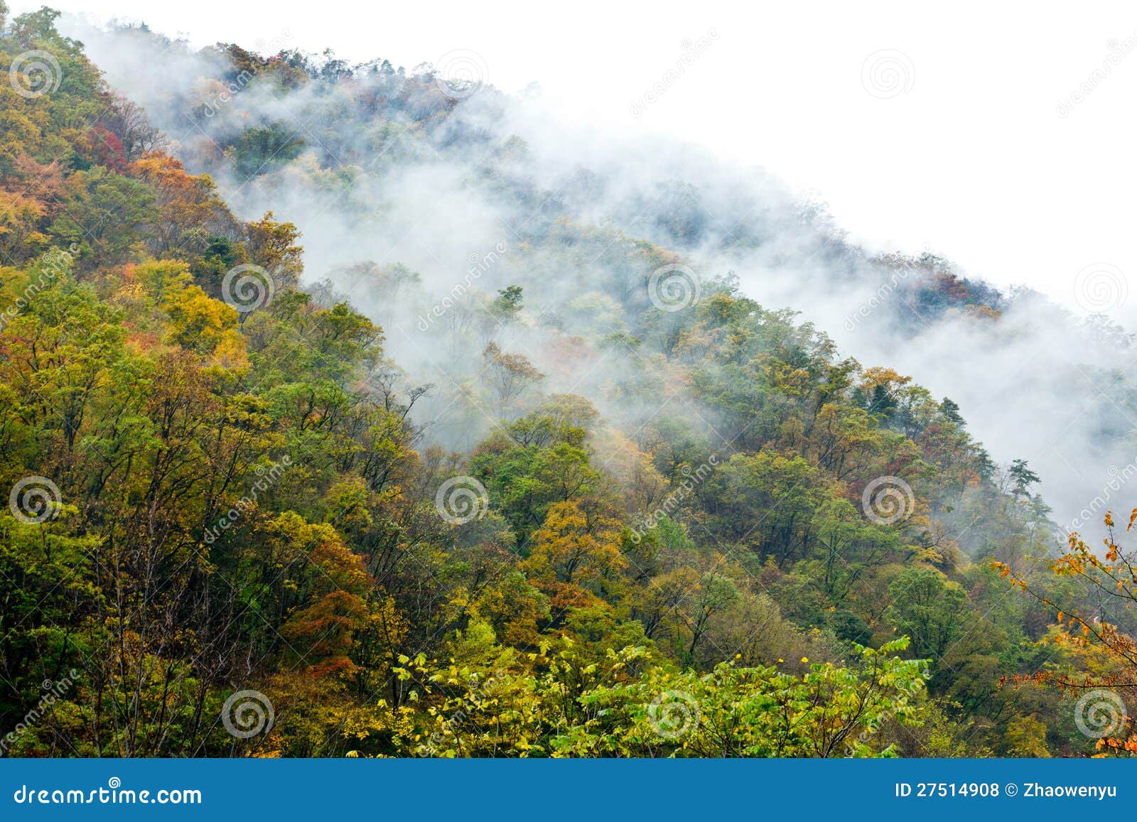 Dyed Mountains and Forests,Cloud and Mist Stock Photo - Image of golden ...