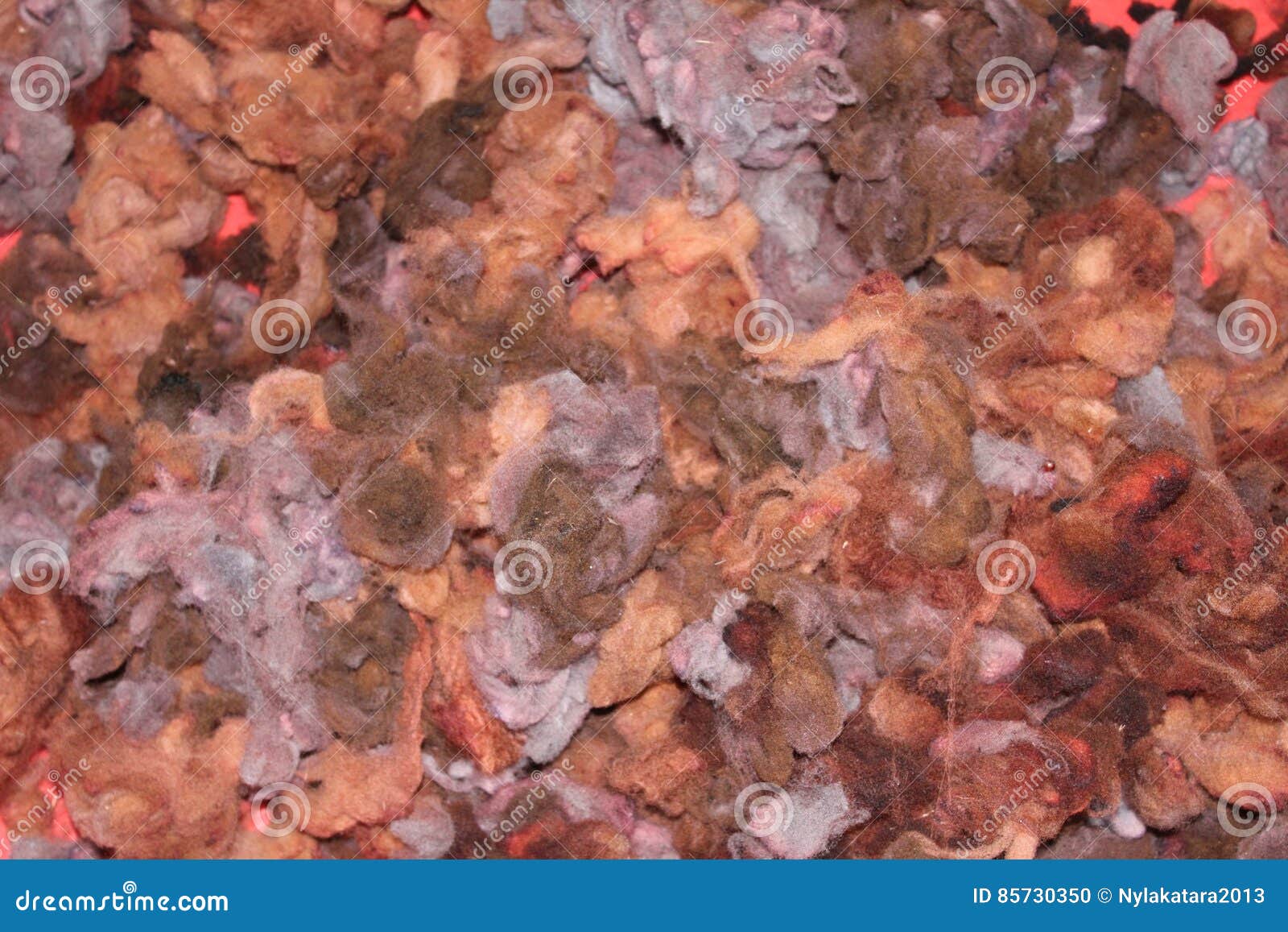 Dyed sheep wool stock photo. Image of bulky, loft, lambs - 85730350