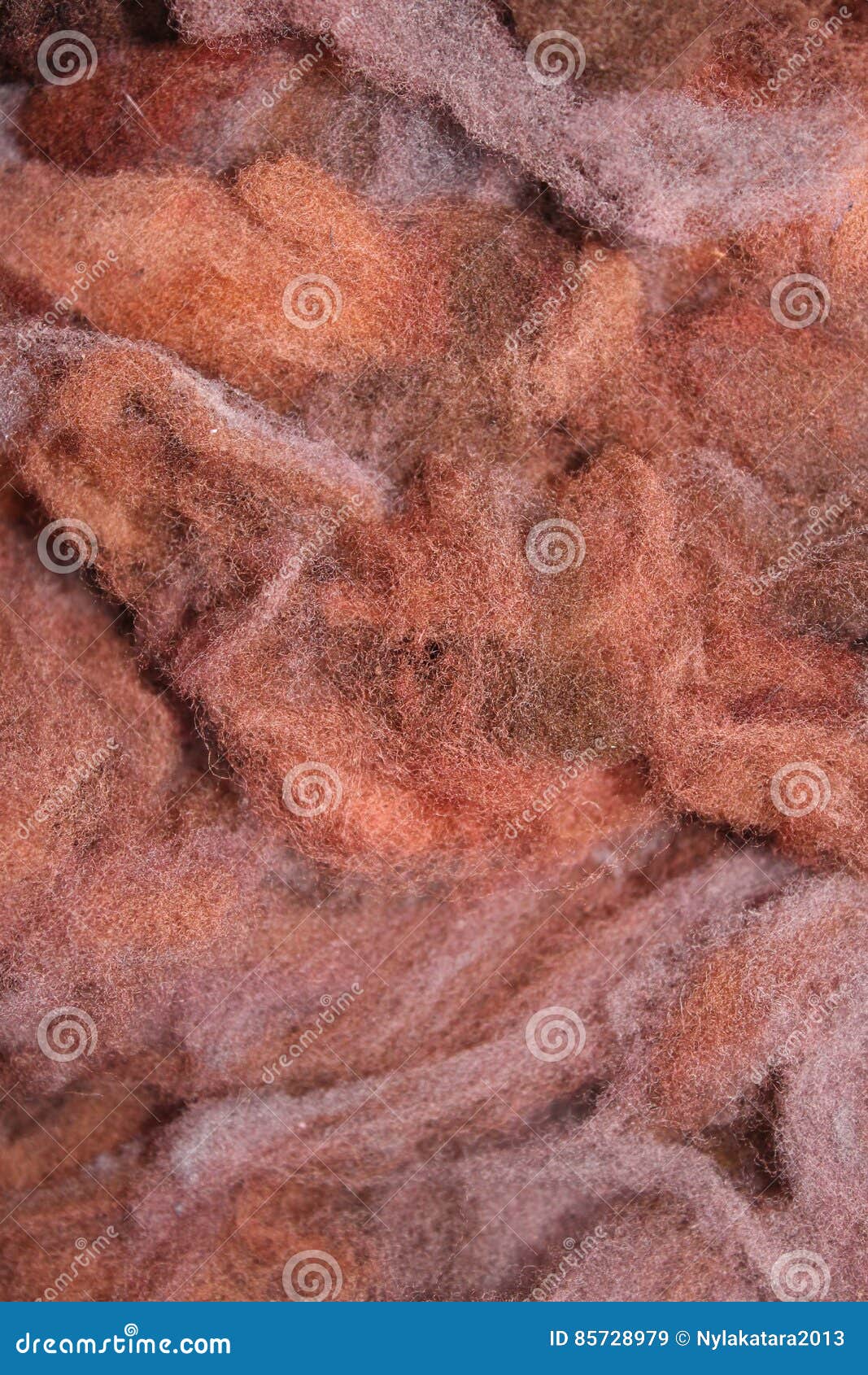 Dyed sheep wool stock image. Image of lambs, roving, woolen - 85728979