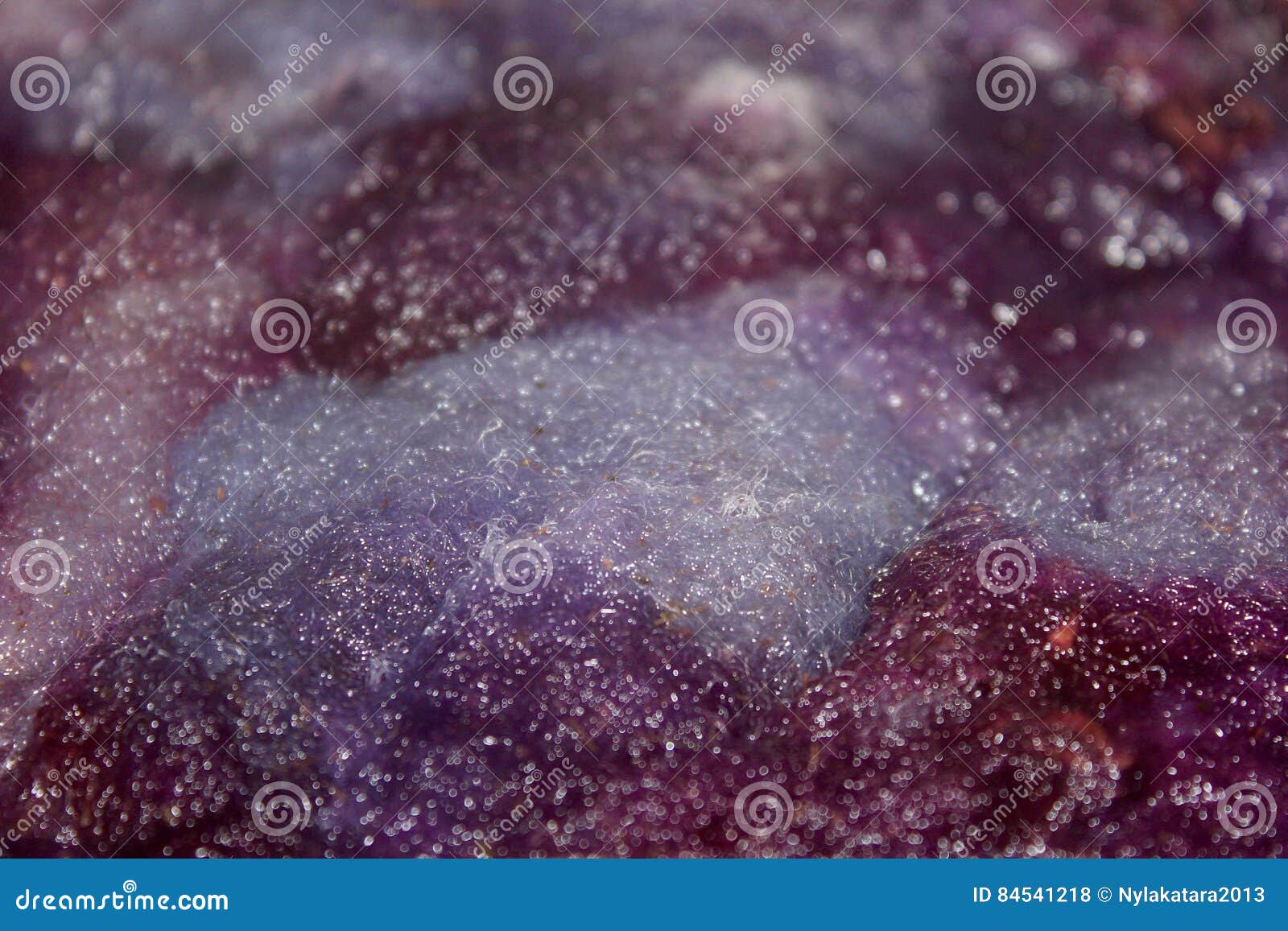 Dyeing sheep wool stock photo. Image of purple, ewes - 84541218