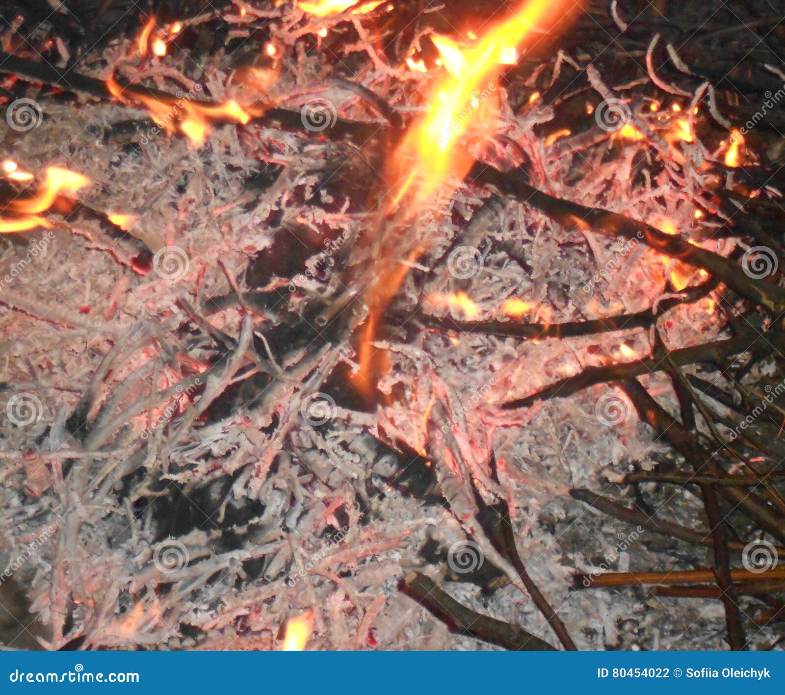 The dying bonfire night stock photo. Image of temperature - 80454022