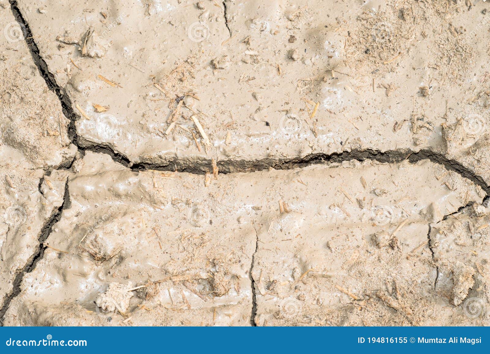 Dying and Drying Land Cause of Climate Change and Water Shortage Stock ...