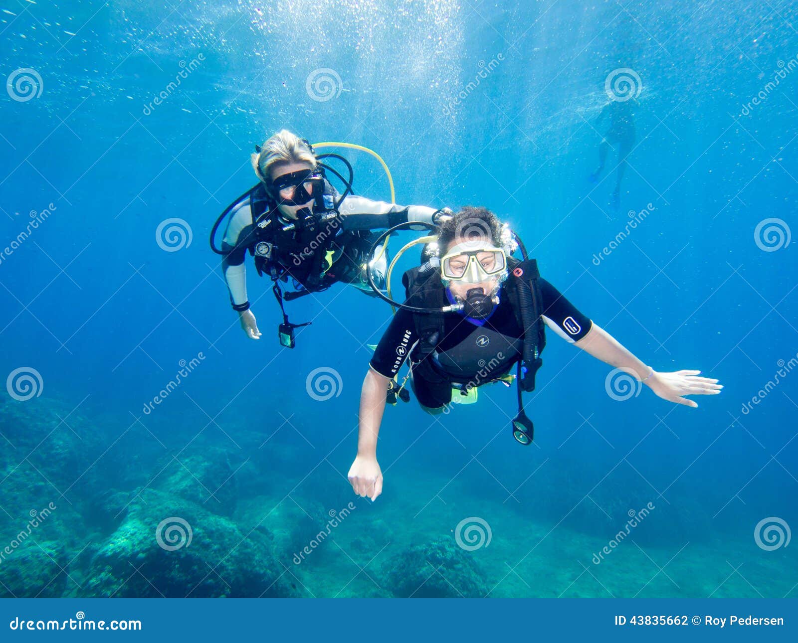 Dykare redaktionell arkivbild. Bild av under, gyckel - 43835662