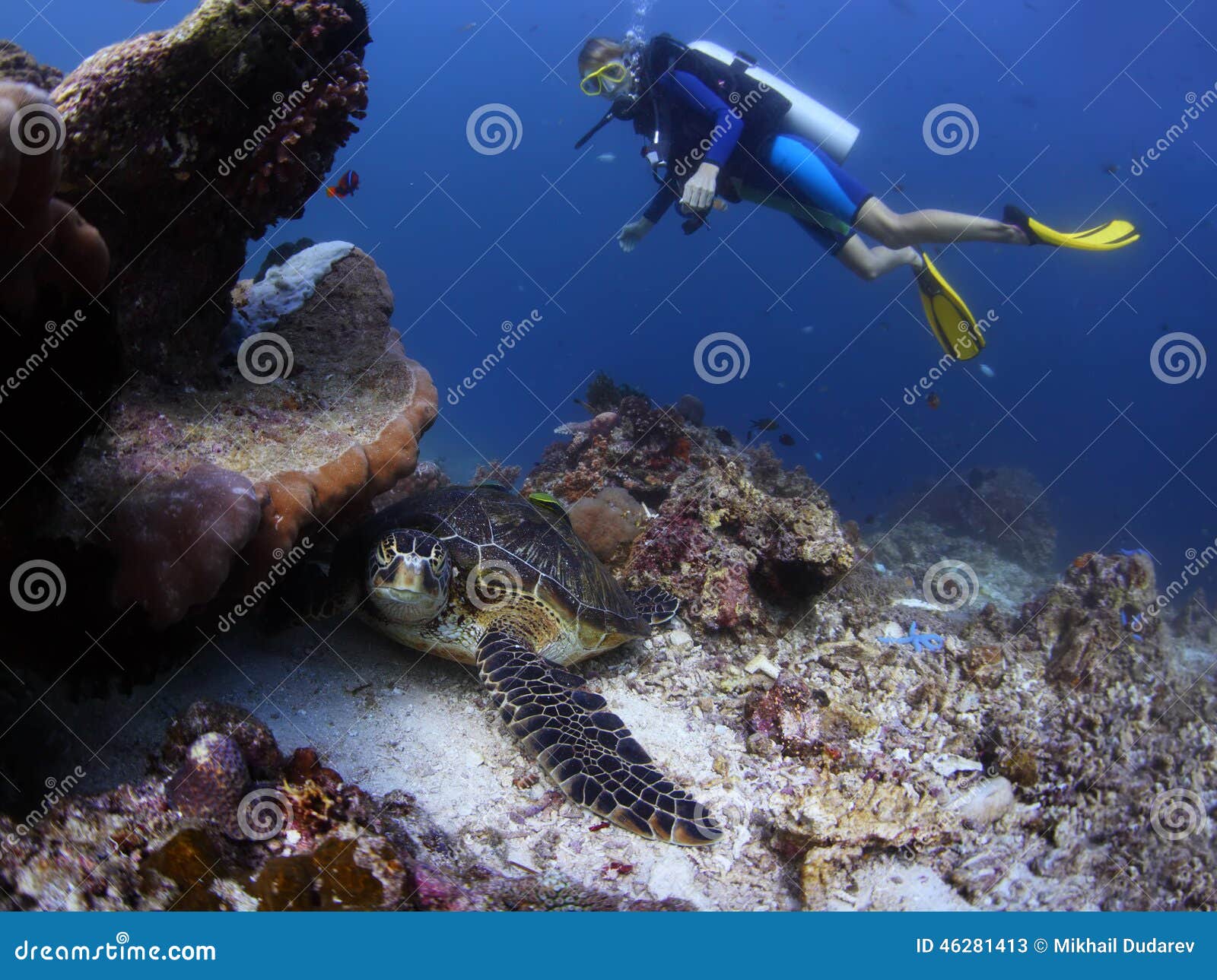 Dykare fotografering för bildbyråer. Bild av mänskligt - 46281413