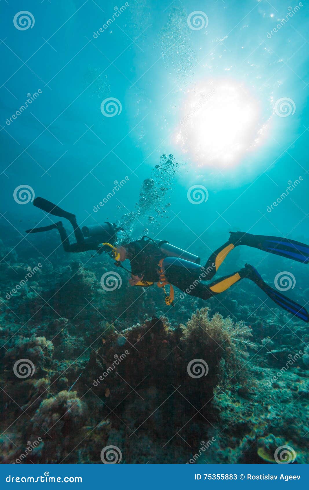 Dykare near havsbotten fotografering för bildbyråer. Bild av askfat ...