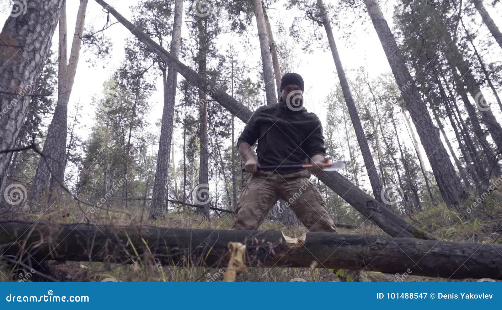 Dynamic Axe Cutting Wood stock video. Video of lumber - 101488547