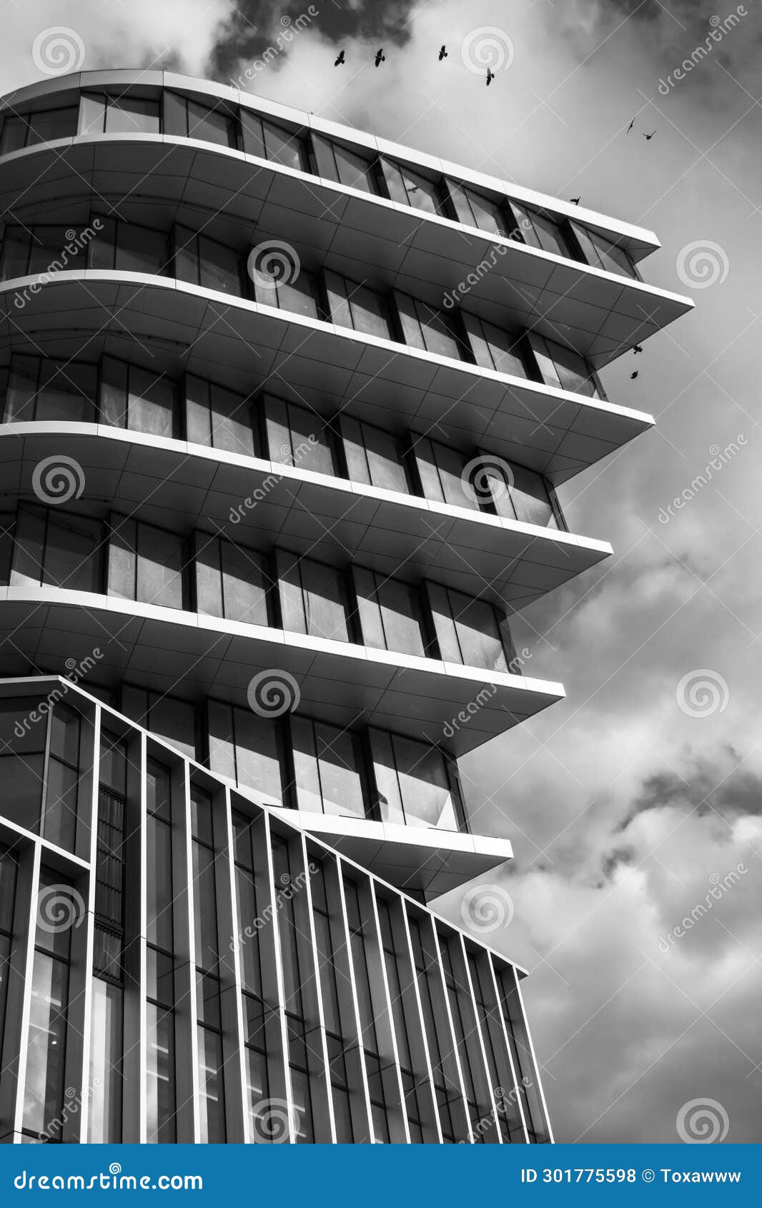 Dynamic Black and White Shot of Modern Architecture with Striking ...