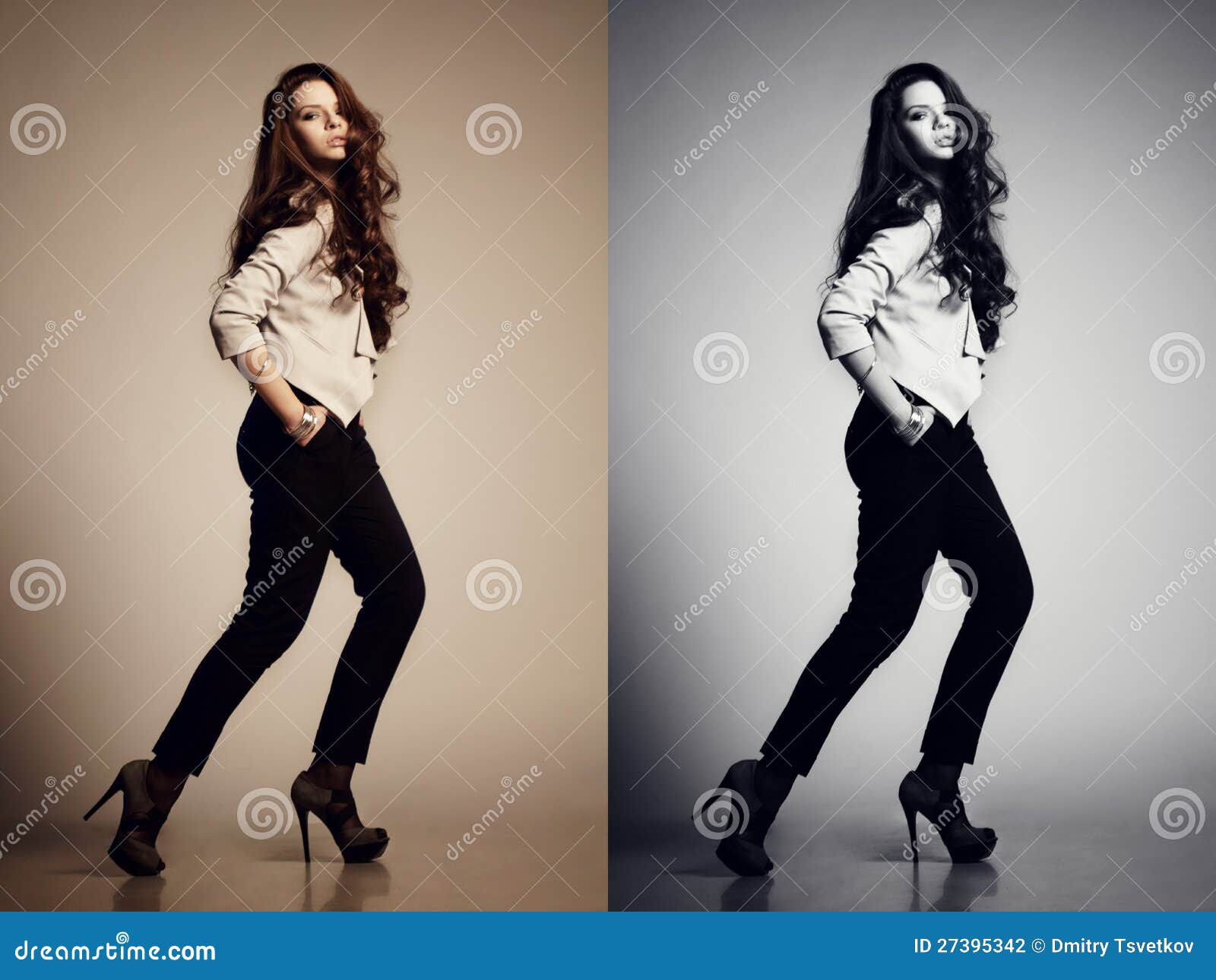 Dynamic fashion model stock photo. Image of black, fashion - 27395342