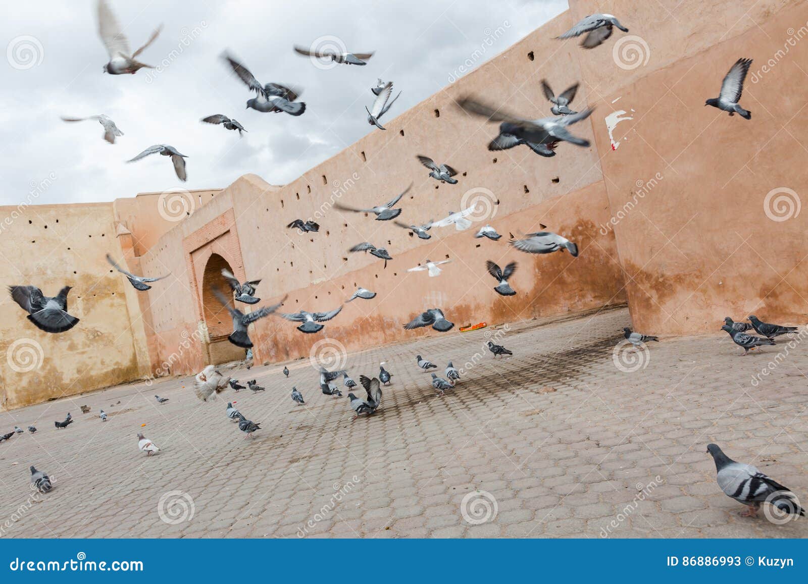 Dynamic Flying Doves at the Old Town Medina Marrakech Stock Image ...