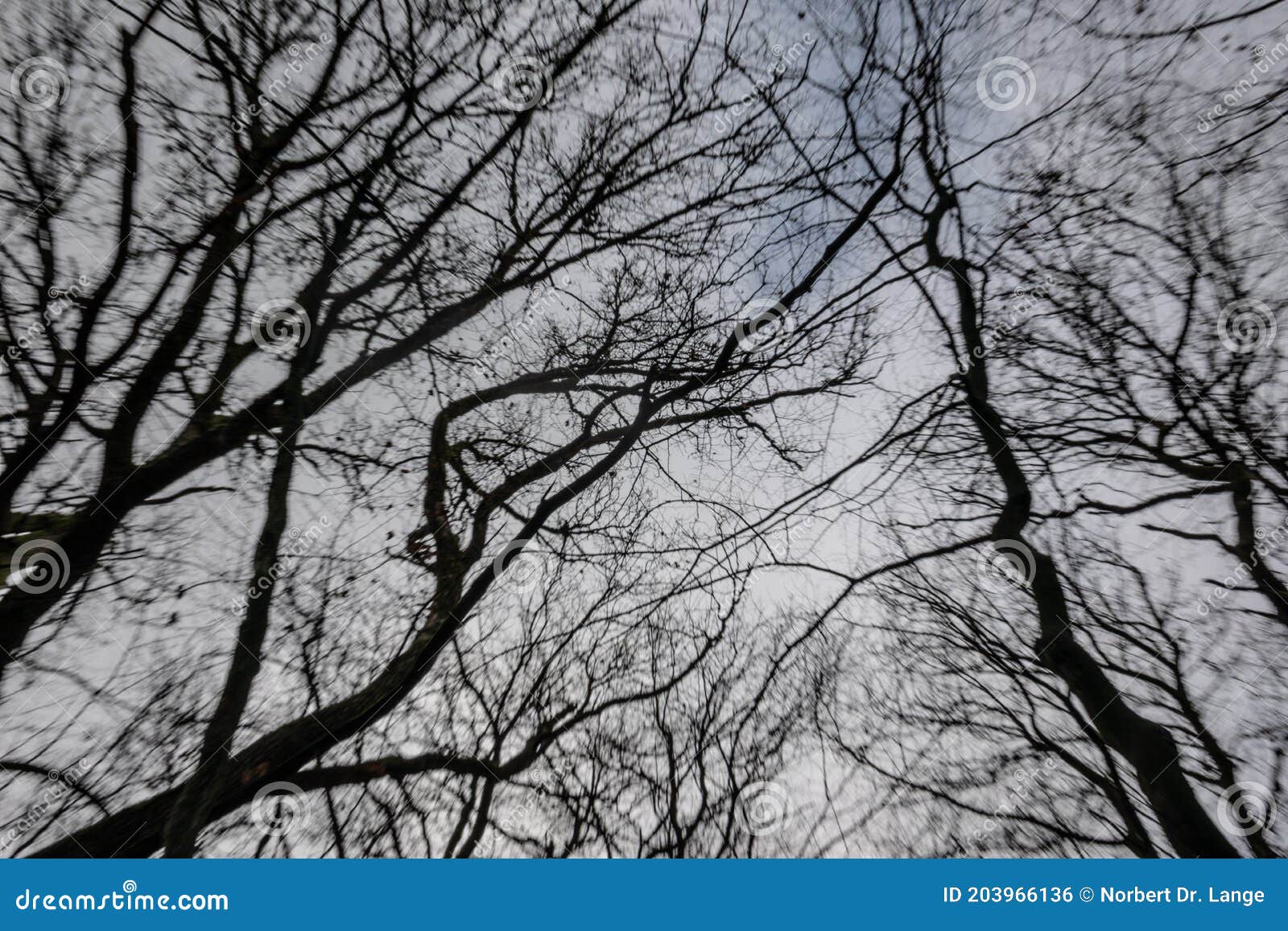 Dynamic Forest in Psychedelic View Stock Photo - Image of path ...