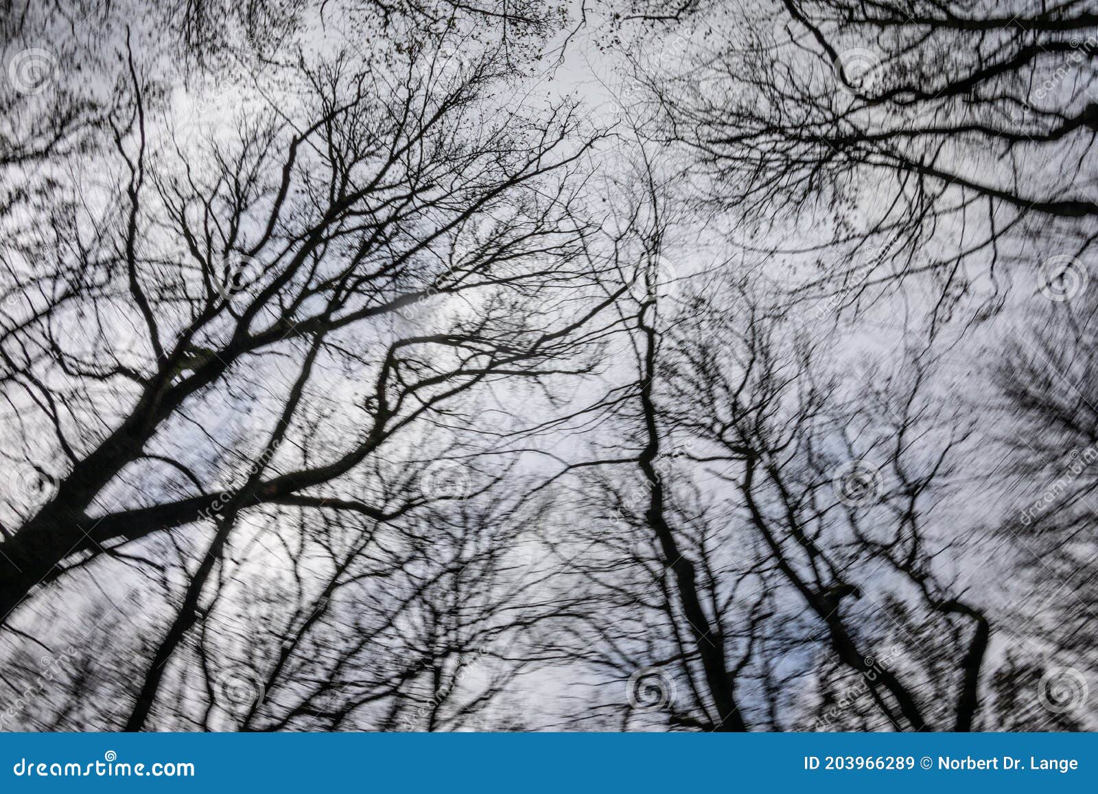 Dynamic Forest in Psychedelic View Stock Image - Image of plant, green ...