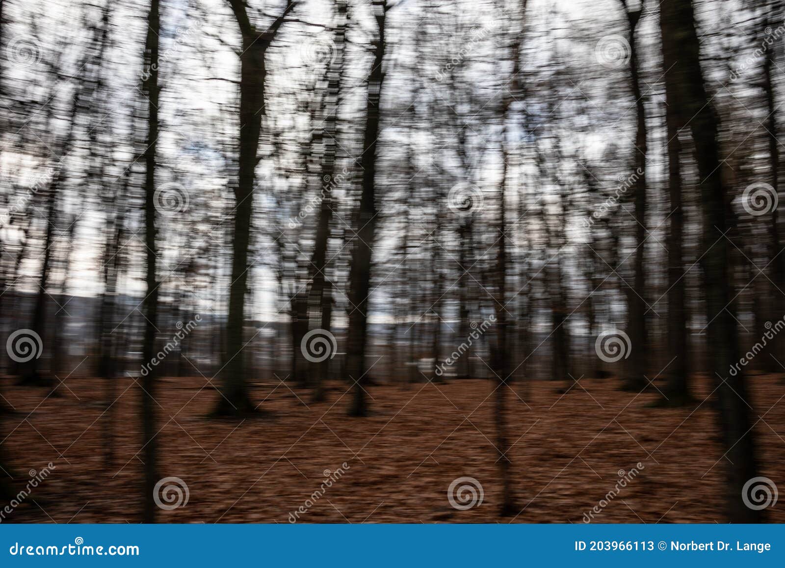 Dynamic Forest in Psychedelic View Stock Image - Image of blurr ...